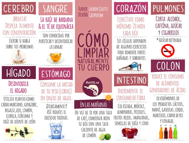 Como limpiar el cuerpo de forma natural | Infografías y Remedios Como limpiar el cuerpo de forma natural | Infografías y Remedios