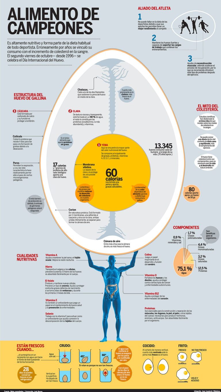 Todo lo que necesitas saber sobre el huevo | Infografías y Remedios