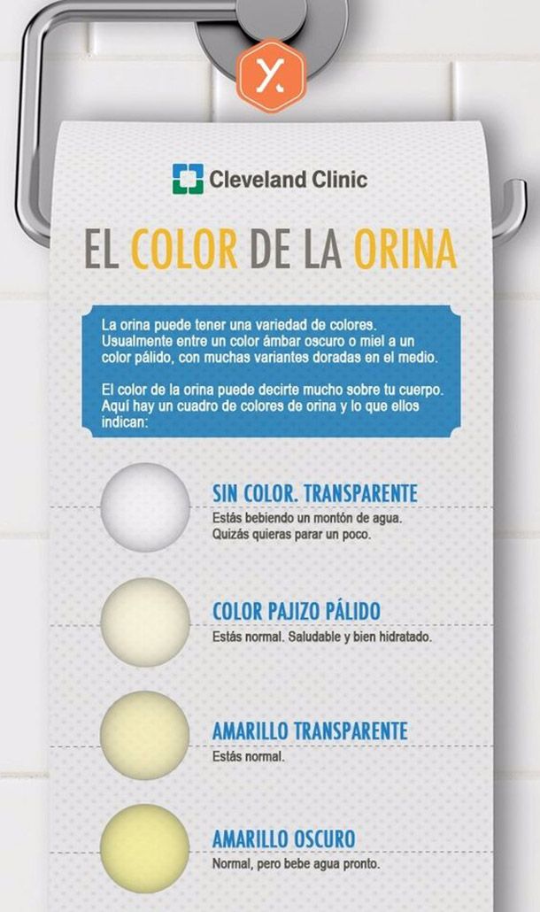 Color de la orina y salud ¿Cómo se relacionan? | Infografías y Remedios