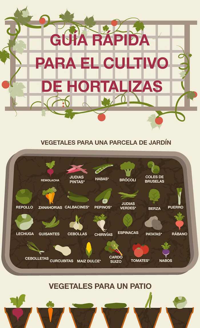 Cultiva Tu Huerto En Casa Con Esta Guía Con Calendario De Siembra